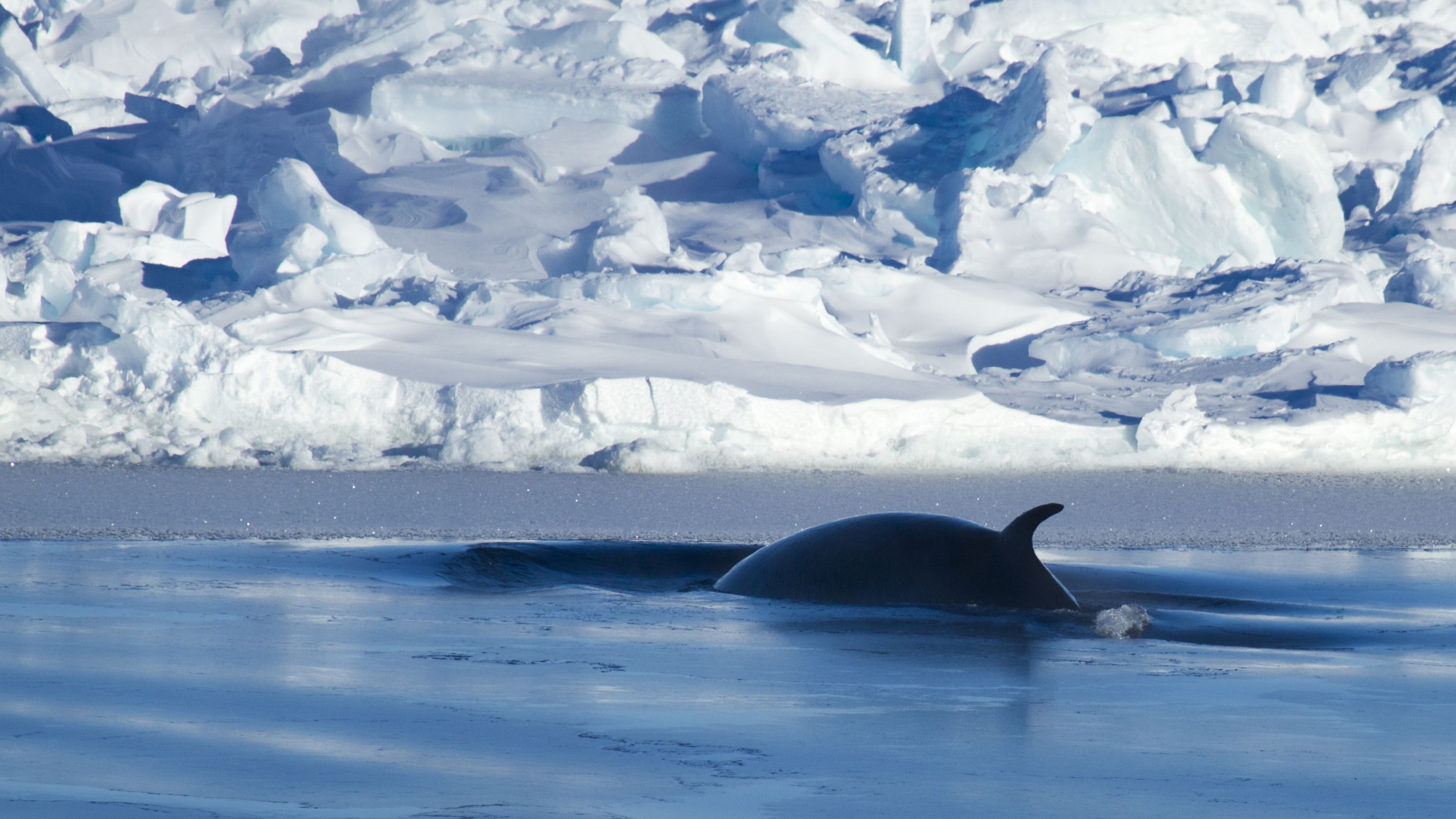 ON THIN ICE